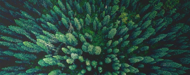 Our Passion - Sencera